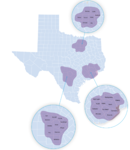 Texas Referral Information - Woundtech