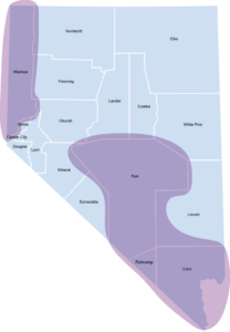Nevada Referral Information - Woundtech
